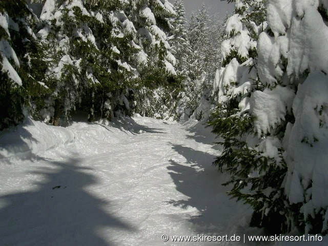 Piste map for Zelezna Ruda - Spicak