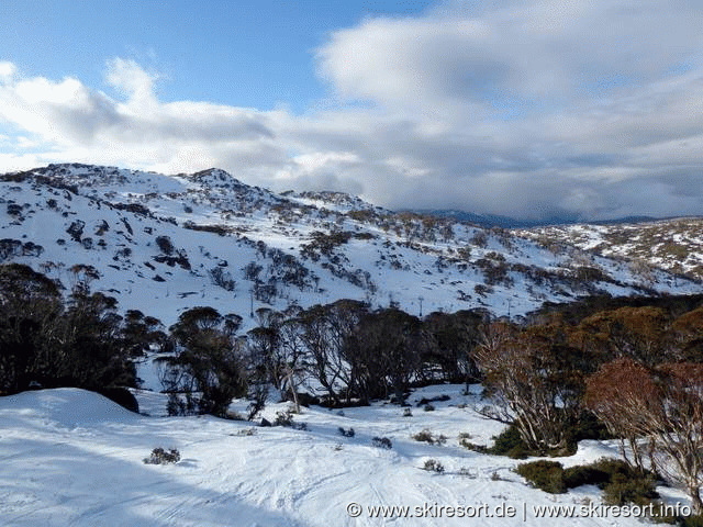 Piste map for Perisher Blue | FindSkiHolidays.com