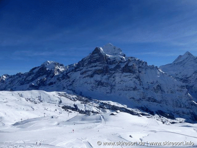 Piste map for Grindelwald | FindSkiHolidays.com